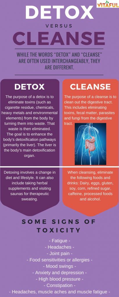 The Detox Program or Cleanse - What’s the Difference? — Look Feel ...